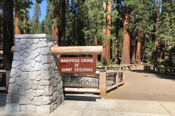 Yosemite Highlights Small Group Tour - An In-Depth Look at the Yosemite Highlights Small Group Tour