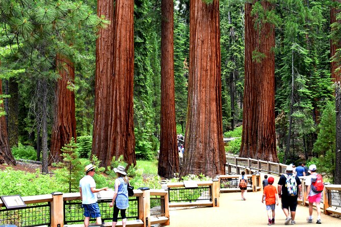 Yosemite Highlights Small Group Tour - Who Might Want to Consider Other Options?