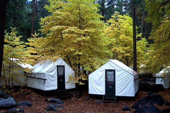 Yosemite National Park 2-Day Winter Tour from San Francisco - The Value of This Yosemite Tour