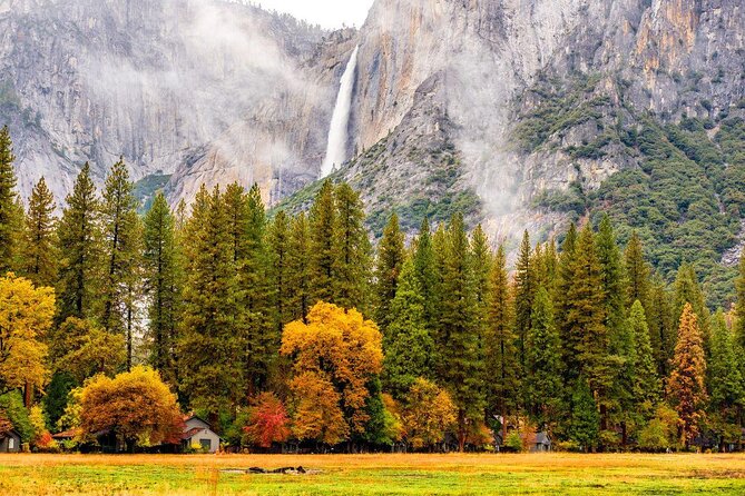 Yosemite National Park and Giant Sequoias Tour from San Jose - Key Points