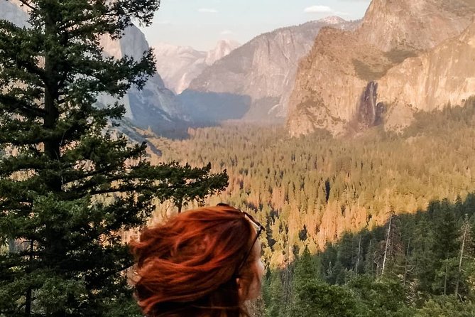 Yosemite National Park and Giant Sequoias Tour from San Jose - FAQs