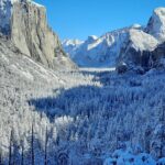 Yosemite National Park Day Tour with Optional Alcatraz - Who Should Consider This Tour?