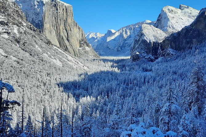 Yosemite National Park Day Tour with Optional Alcatraz - Who Should Consider This Tour?