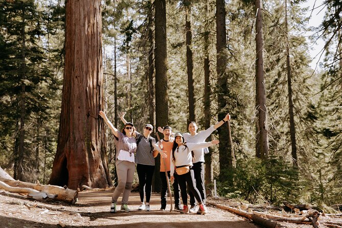 Yosemite National Park & Giant Sequoias 2-Day Semi-Guided Tour - Final Thoughts: Who Is This Tour Best For?