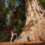 Yosemite National Park & Giant Sequoias 2-Day Semi-Guided Tour - Frequently Asked Questions