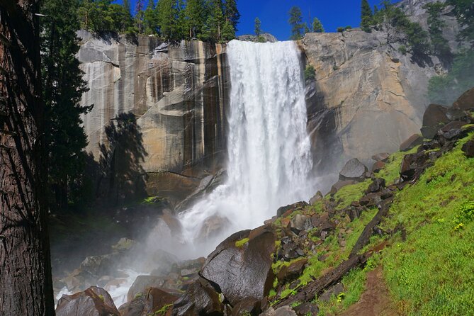Yosemite National Park Private 1 Day Tour from San Francisco - The Experience from Reviews