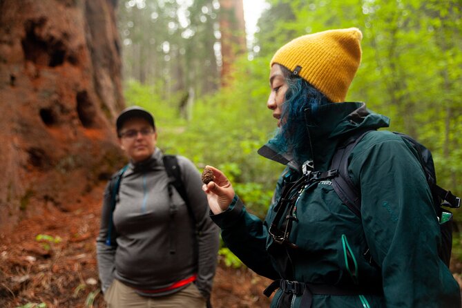 Yosemite Two Day Private Tour and Hike - Key Points