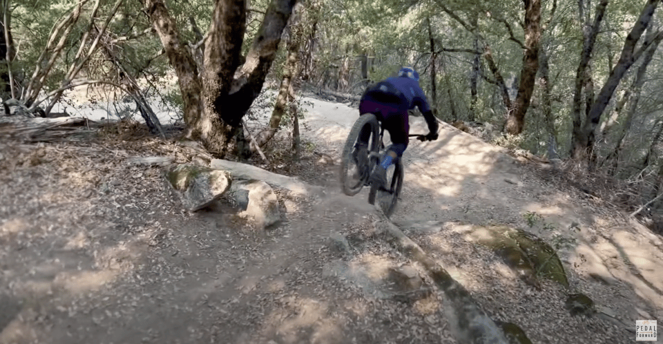 Yosemite Valley Area: Standard Bike Rental - An In-Depth Look at the Yosemite Valley Bike Experience