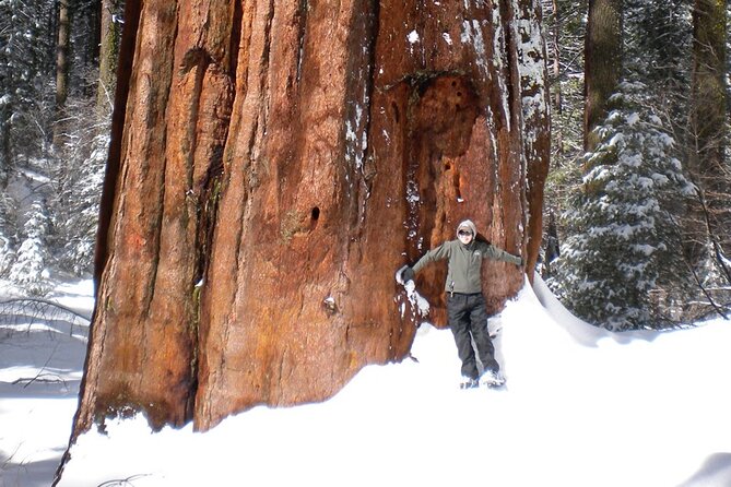 Yosemite Valley Discovery Walk - Who Should Book This Tour?