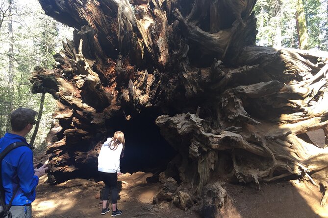 Yosemite Valley Discovery Walk - The Sum Up: Is It Worth It?