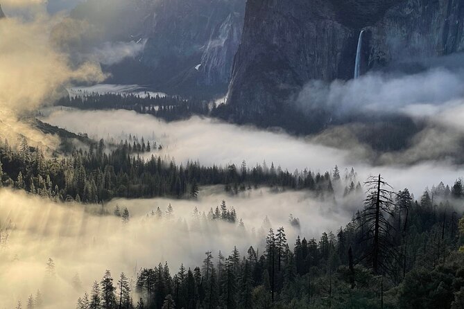 Yosemite Winter Highlights Small Group Tour - Key Points