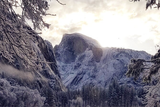 Yosemite Winter Highlights Small Group Tour - Who Should Consider This Tour?