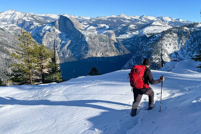 Yosemite Winter Wonderland Guided Hiking or Snowshoeing - Highlights of the Experience