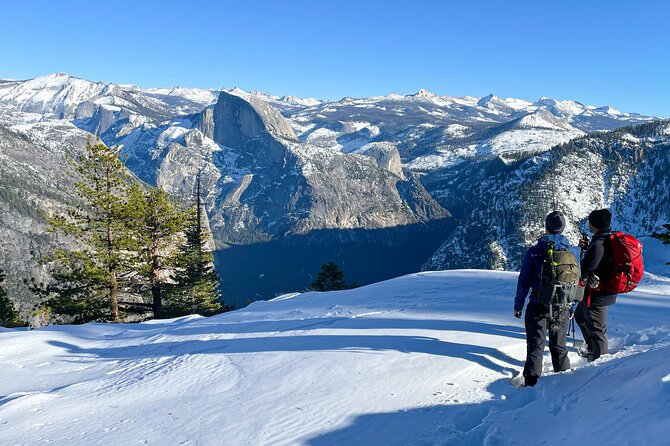 Yosemite Winter Wonderland Guided Hiking or Snowshoeing - Who Will Love This Tour?