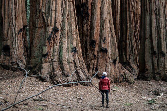 Yosemite Women's Only 3-Day Camping Adventure from San Francisco - Final Thoughts