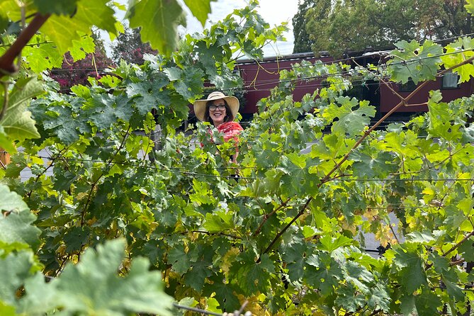 Yountville Food and Wine Tour in Napa - Who Should Consider This Tour?  