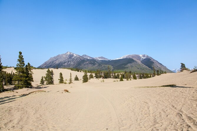 Yukon Escapade: Lakes, Wilderness, and Hidden Gems - Exploring Yukon Through Skagway: What to Expect