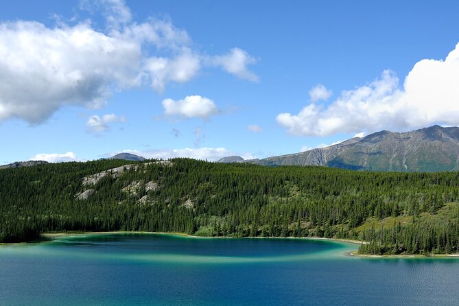 Yukon Escapade: Lakes, Wilderness, and Hidden Gems - Who Will Love This Tour?