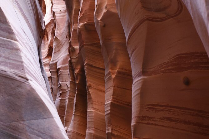 Zebra Slot Canyon Hiking Tour in Escalante - Why This Tour Offers Great Value
