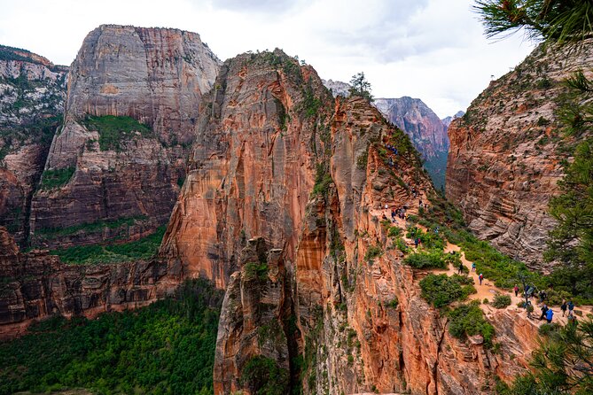Zion Full Day Small Group Tour with Narrows - What Makes This Tour Stand Out