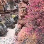 Zion National Park 5-hour Tour: Hike and Drive - What’s Included and Why It Matters