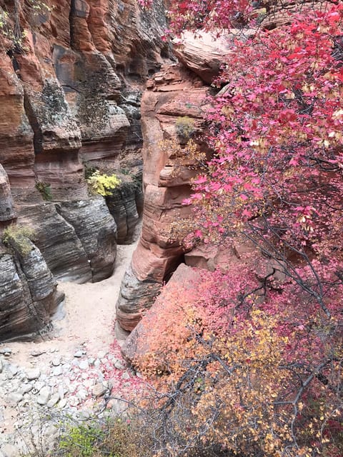 Zion National Park 5-hour Tour: Hike and Drive - What’s Included and Why It Matters