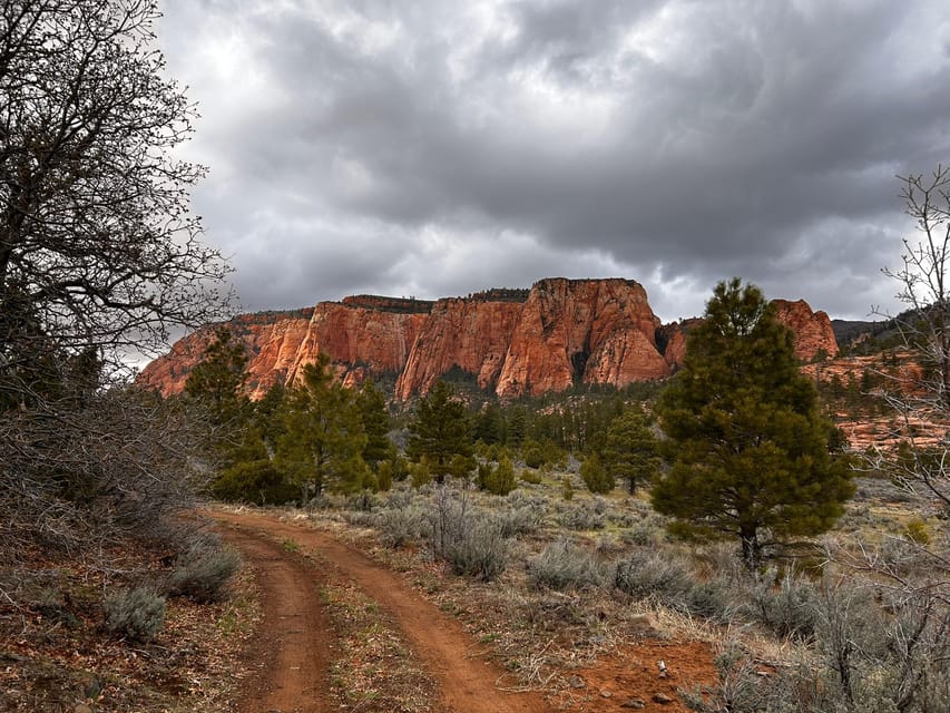 Zion National Park 5-hour Tour: Hike and Drive - The Itinerary in Detail