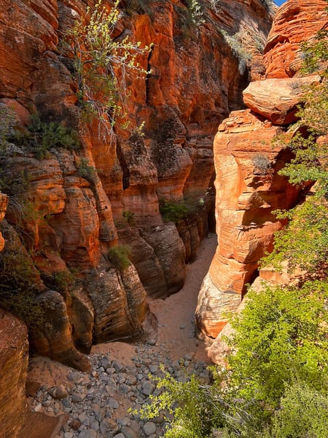 Zion National Park 5-hour Tour: Hike and Drive - Final Thoughts: Who Is This Tour Best For?