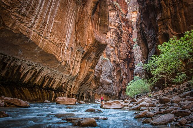 Zion National Park Day Trip from Las Vegas - Authentic Traveler Insights