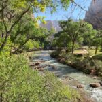 Zion National Park: Private Guided Hike & Picnic - The Itinerary: What You Can Expect