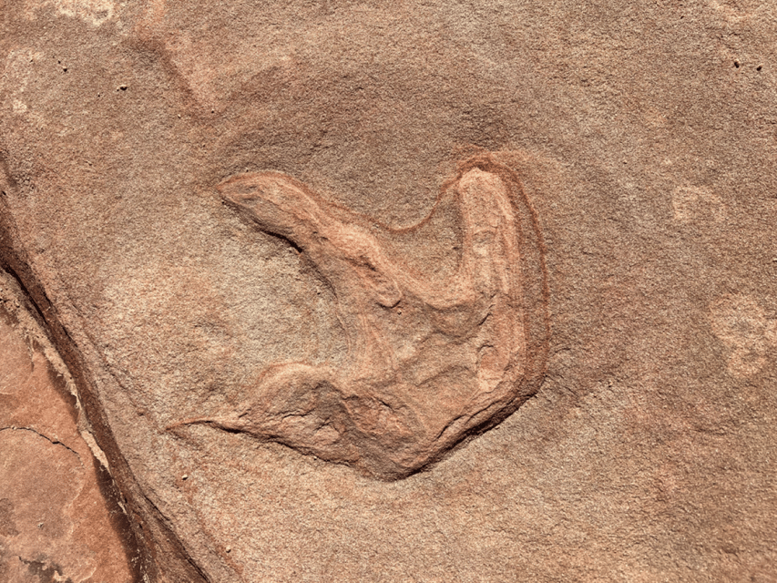 Zion National Park: UTV Outback Tour - The Sum Up