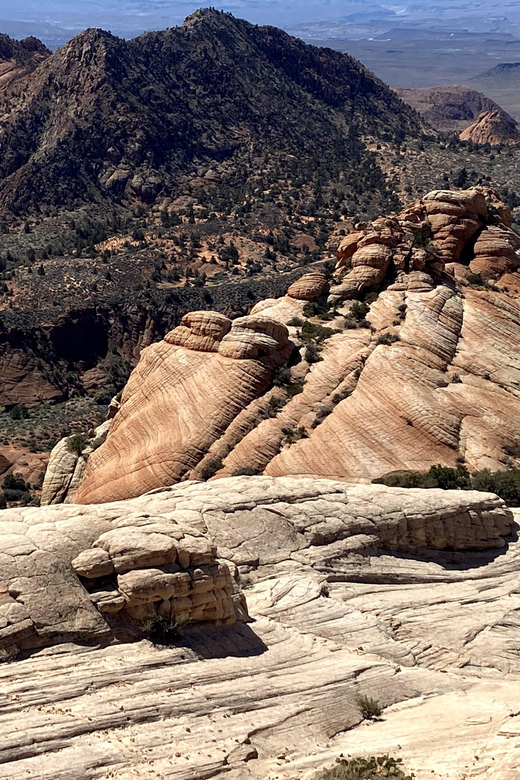 Zion National Park: Yoga & Hiking Tour - The Itinerary in Detail