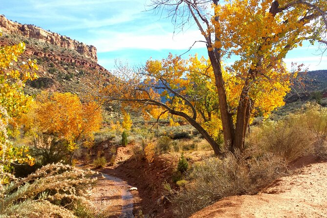 Zion UTV Morning Tour - Why This Tour Offers Great Value
