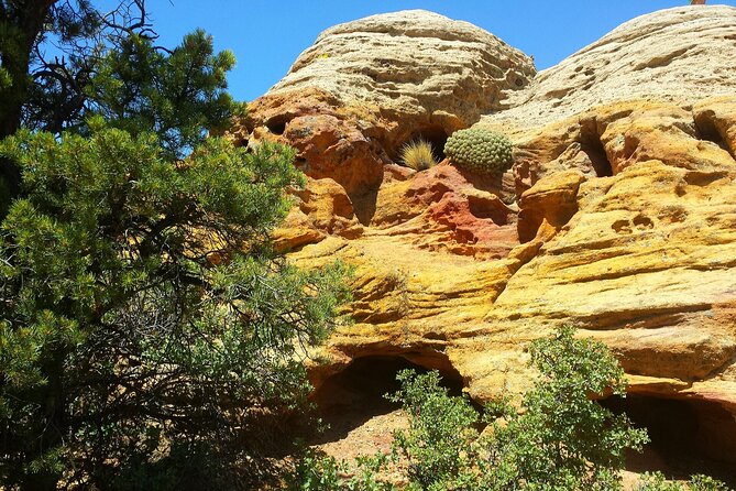 Zion UTV Morning Tour - Who Should Consider This Tour?