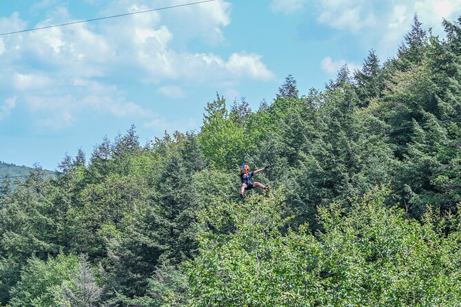 Zipline Canopy Activity Admission at Bristol Mountain - What Is the Bristol Mountain Zipline Canopy Activity?