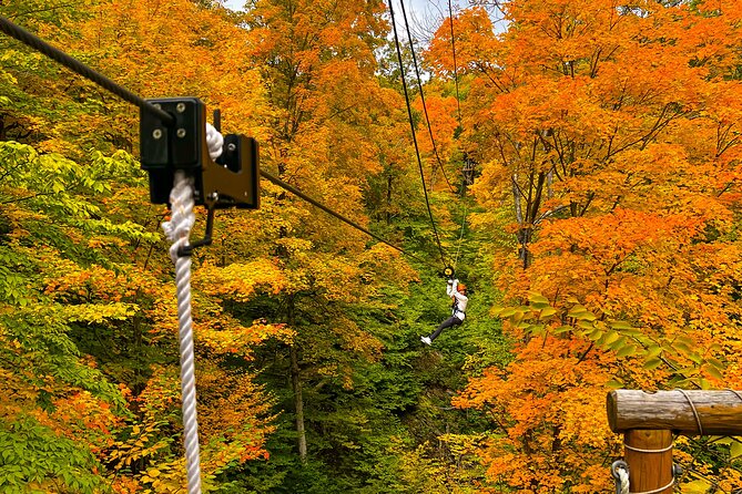 Zipline Canopy Activity Admission at Bristol Mountain - Is It Worth the Price?
