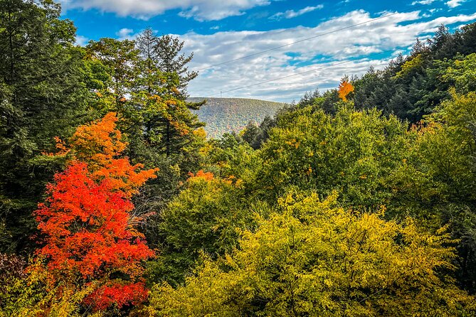 Zipline Canopy Activity Admission at Bristol Mountain - Who Is This Tour Best For?