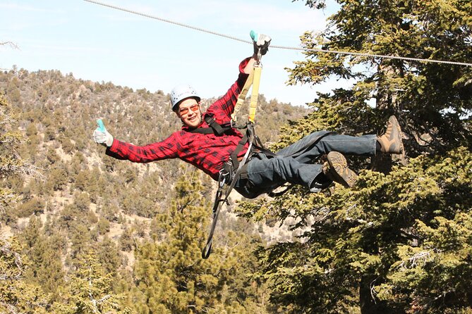 Zipline Tour - 9 high-speed ziplines & fun suspension bridge - What Makes This Zipline Tour Stand Out?
