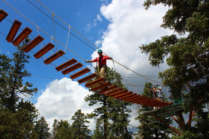 Zipline Tour - 9 high-speed ziplines & fun suspension bridge - Authentic Experiences and Tips from Reviewers