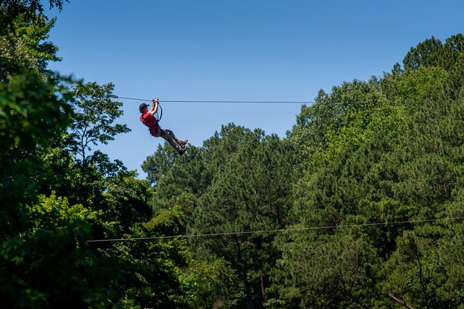 Ziplining and Climbing at The Adventure Park at Virginia Aquarium - Ziplining and Climbing at The Adventure Park at Virginia Aquarium: An In-Depth Review