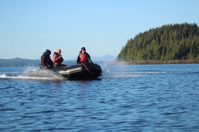 Zodiac Fast Boat Adventure - Wildlife Spotting: What You Might See