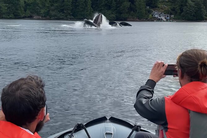 Zodiac Fast Boat Adventure - Group Size and Flexibility