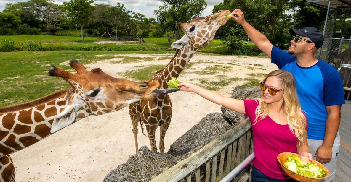 Zoo Miami: General Admission Ticket - What Makes Zoo Miami Special