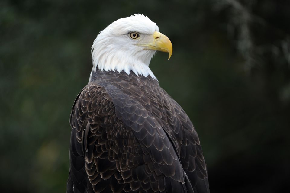 Zoo Miami: General Admission Ticket - Navigating Your Day at Zoo Miami