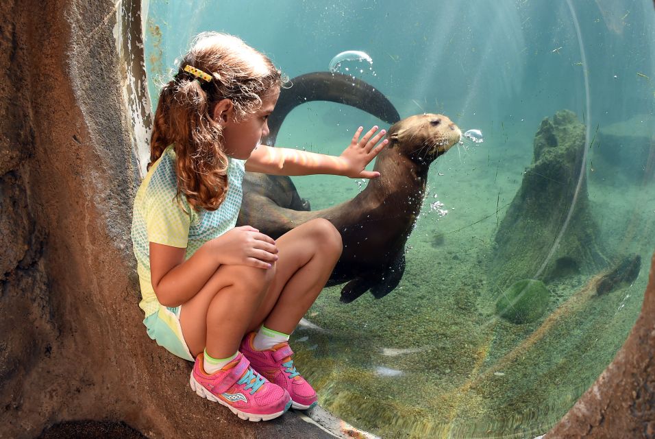 Zoo Miami: General Admission Ticket - Authentic Visitor Insights