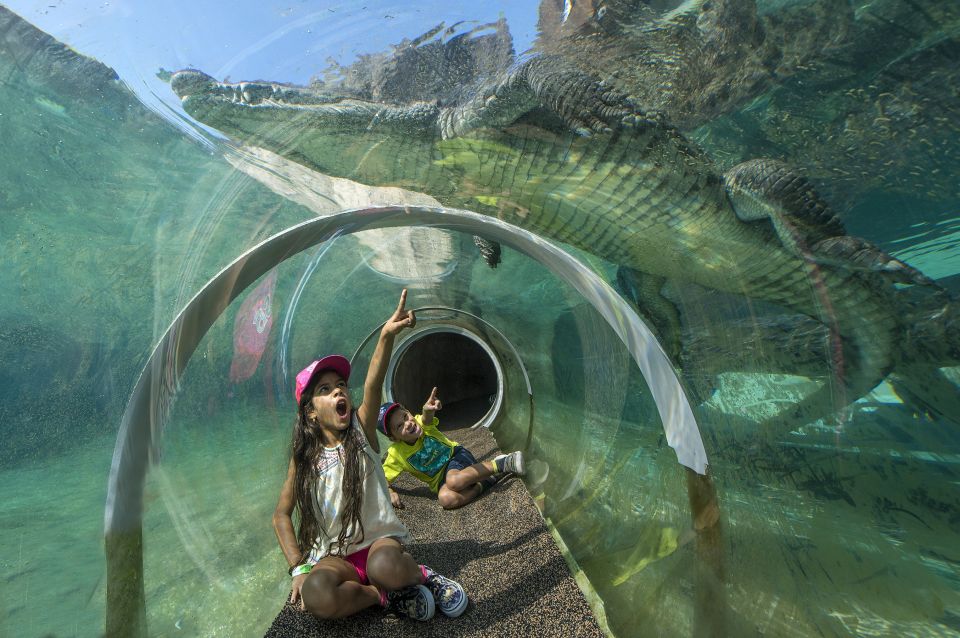 Zoo Miami: General Admission Ticket - Practical Tips for Visiting Zoo Miami