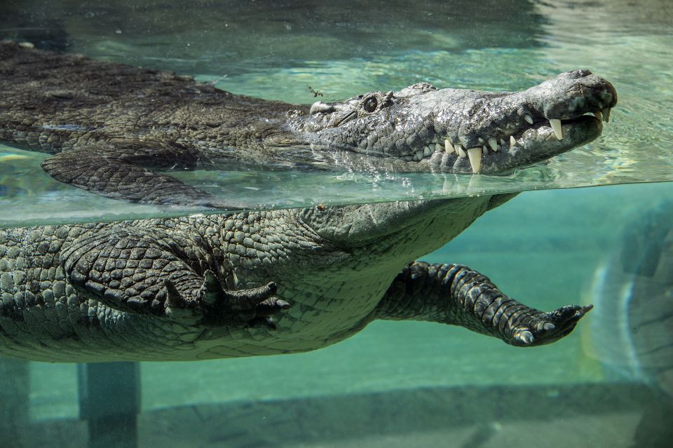 Zoo Miami: General Admission Ticket - The Sum Up