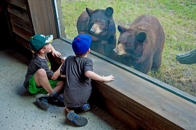 Zoo Miami Ticket with Optional Upgrade - Key Points