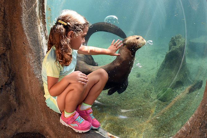 Zoo Miami Ticket with Optional Upgrade - The Pros and Cons