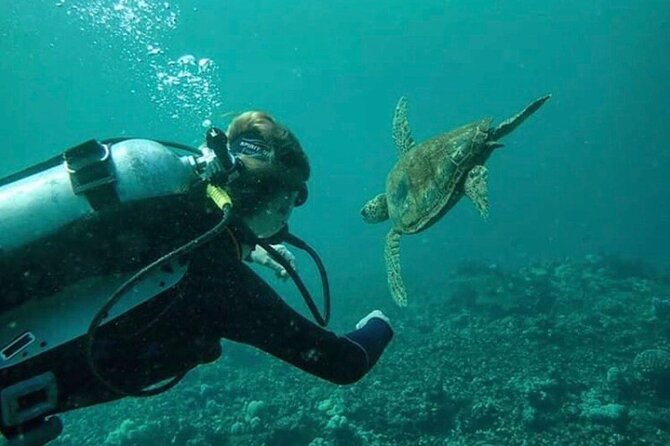 2 Tank Shore Dive at Sea Turtle Cove - Deep Dive into the Experience
